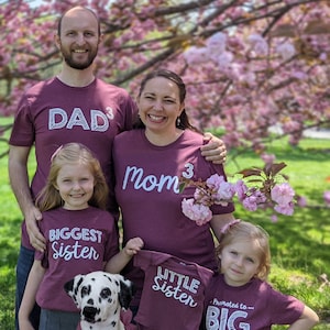 Mom of 3 Shirt, Matching Shirts for Baby Announcement, Big Sister ...