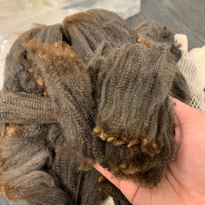 Merino Fleece, Raw Wool, 4 Lbs, 15 Oz Merino Sheep Fleece, Hand ...