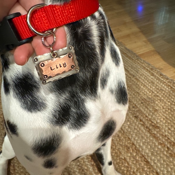 Large Dog Tag - Personalized Pet ID Tag With Hand Stamped and Engraved ...