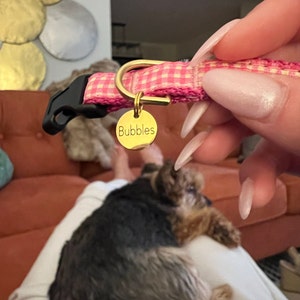 12mm Custom Tiny Tag, Small Pet Tag, Dog Tag, Puppy Tag, Kitten Tag ...
