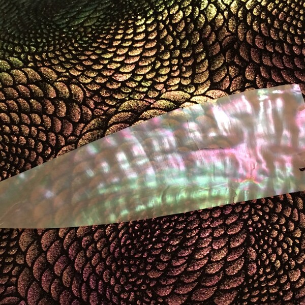 Fuki Urushi DIY Kit, Suri Urushi Lacquer Kit From Japan, A0344 - Etsy