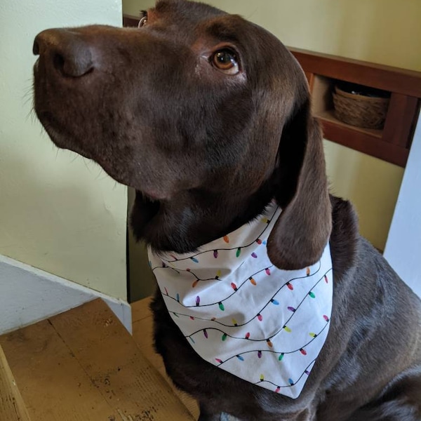 Roll the Dice | Instant Download | Gross Motor Movement & Regulatory ...