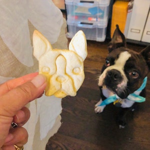 Cole the Boston Terrier Boston Terrier Cookie Cutter Dog Face Cookie ...