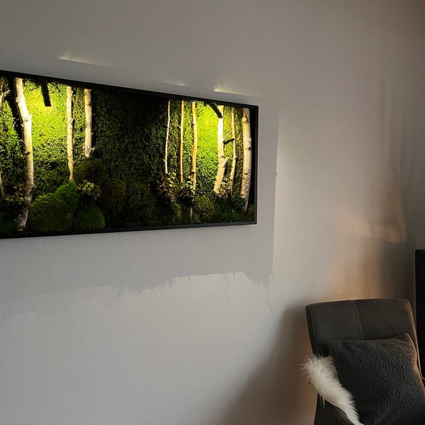 Delightful LED Lights Preserved Moss Wall Art Live Moss LED Home Décor ...