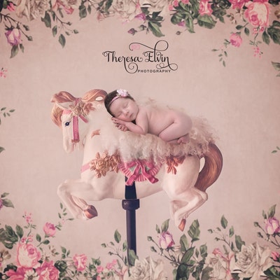 Digital Newborn Backdrop/ Prop Fine Art Carousel Horse 5 - Etsy