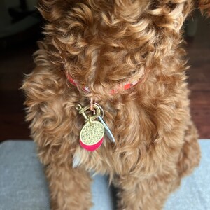 Brass Dog Tag, Personalized Brass Pet ID Tag, Custom Cat Tag, Unique ...