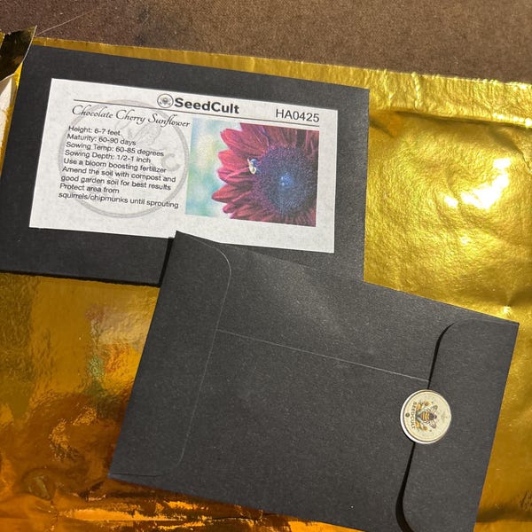 Astrantia Major Rose Symphony Seeds, Masterwort, Hattie’s Pincushion ...