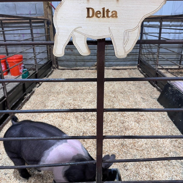 Custom License Plate Stall Sign, Livestock, Pig, Swine, Hog - Etsy
