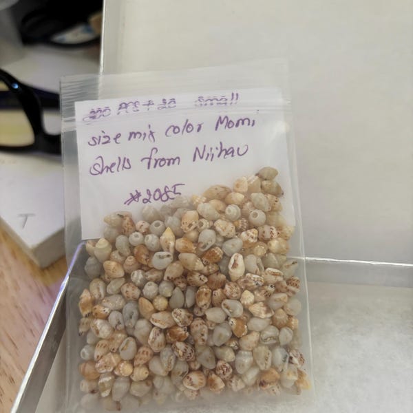 1 Film Canister of Laiki Shells Supply. Most Shells Use for Hawaiian ...