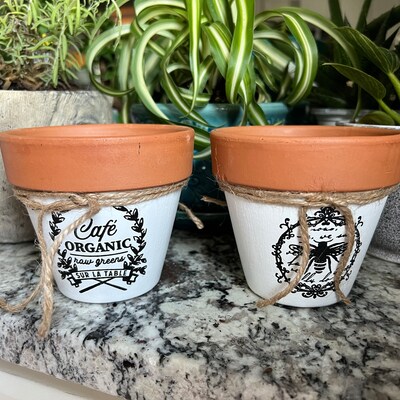 Farmhouse Clay Flower Pot, 4 Inches, Set of Two, Vintage Style, Rustic ...