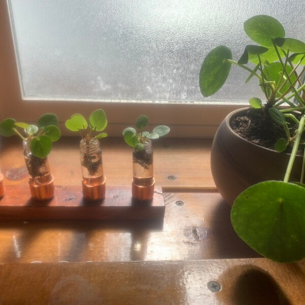 Copper Propagation Station Vessel Flower Buds Vase - Etsy