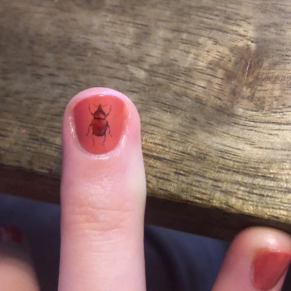 Beetle Waterslide Nail Decals | DIY Nail Art | Insect Nail Stickers ...