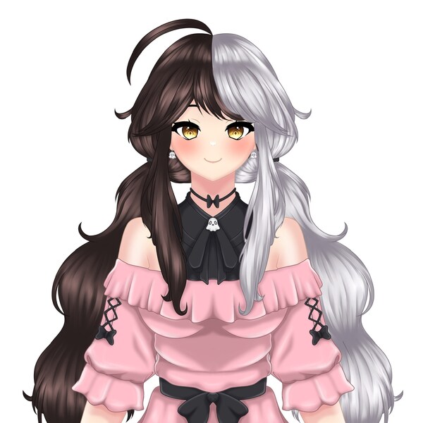 Custom Pngtuber Avatar: Talking and Blinking Chibi Model for Streamers ...