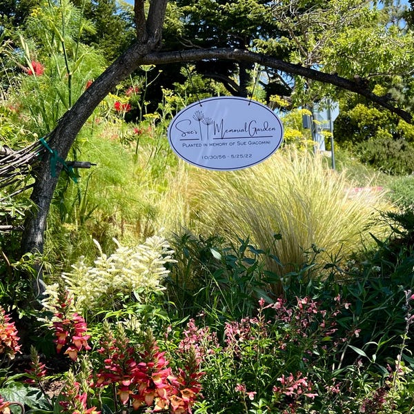 Custom Boutique Logo Sign Commerical Signage Longhorn Desert Steer ...