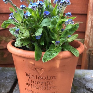 Personalised Engraved Forget Me Not Terracotta Flower Plant Pot, Custom ...