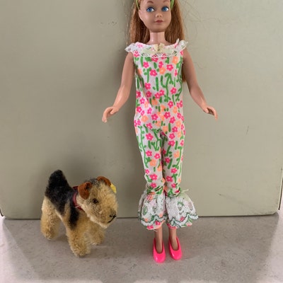 Vintage Barbie Skipper Ballet Dance Tutu, ballet Class 1905, 1960s ...