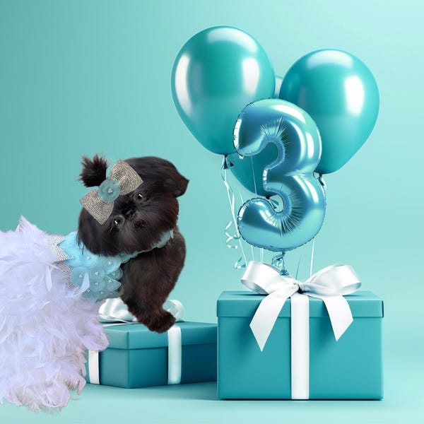 Digital First Birthday Backdrop Background One Year Birthday Background ...