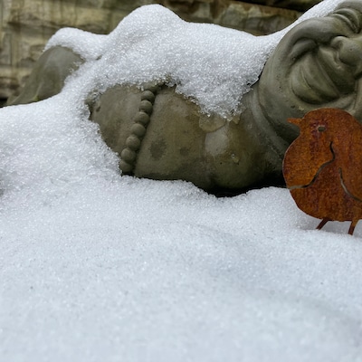 Rusty Metal Robin Steel Robin Decoration Rusty Bird Wild Bird Art ...