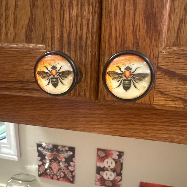 Bee Knobs Drawer Knobs Pulls Kitchen Cabinet Pulls Handle Furniture ...