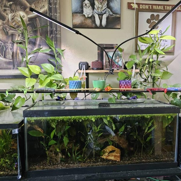 Finnex Stingray Original LED Light Riser, Attractive Stable Elevated ...