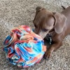 Snuffle Ball, Treat Dispenser, Treat Ball, Canine Enrichment, Keep Dogs ...
