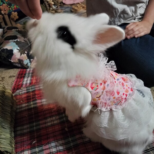 Autumn Ginkgo Wool Short Dress, Pet Bunny Dress/harness, Rabbit ...