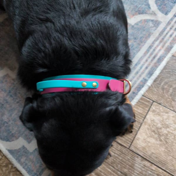 The Vera Bling Biothane® Collar | Beta Biothane® Collar | Gemstone ...