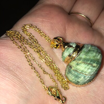 Wholesale Natural Gold Green Sea Shell Pendant Ocean Conch Beach Shells ...