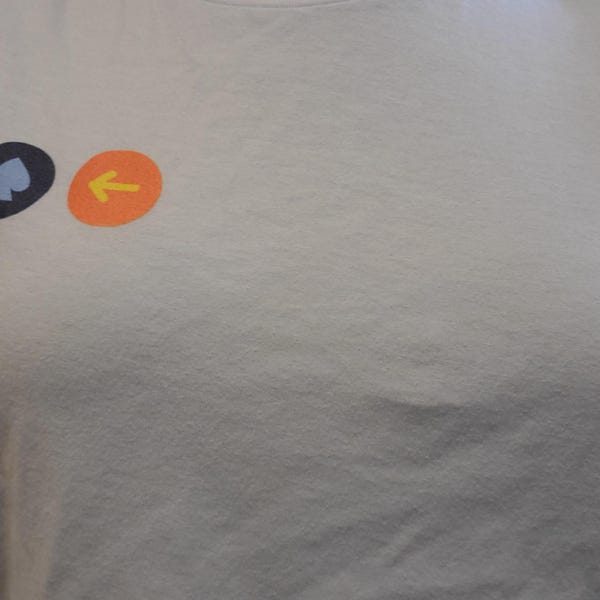 Aroace Flower T Shirt, Floral Aro Ace Flag, Aromantic Asexual Gift ...