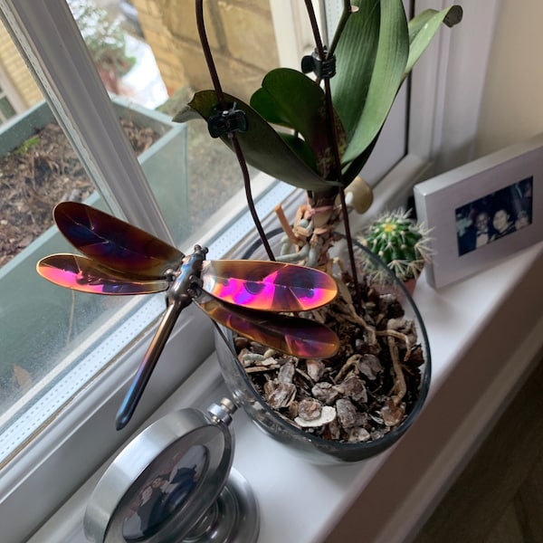 Gloss Black Spider. Made From Stainless Steel Dome Nuts. Scary ...