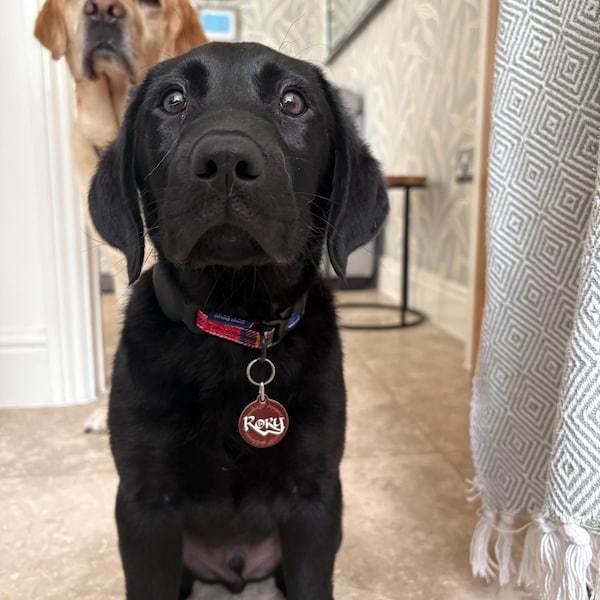 Middle Earth Signpost Pennant, Lord of the Rings Banner, LOTR Flag ...