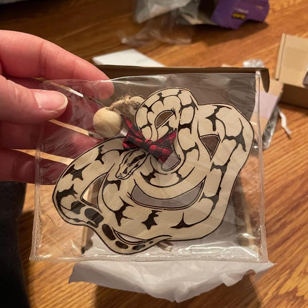 Centipede - Scolopendra - Centipedes - Invertebrates - Arthropod ...