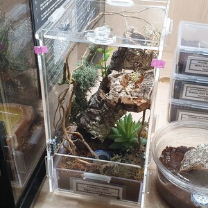 Brazilian Blue Dwarf Beauty Tarantula Laminated Enclosure Label Exotic ...