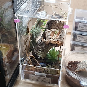 Small Terrarium Label Laminated Enclosure Label Exotic Pet - Etsy UK