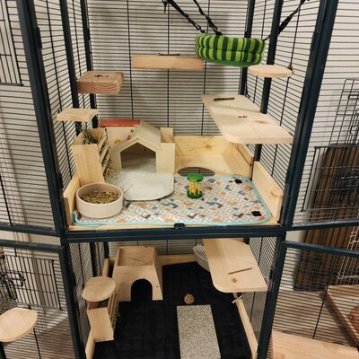 Full Length Cage Ledges for Full Cheeks Chew Proof City Loft Cage Kiln ...