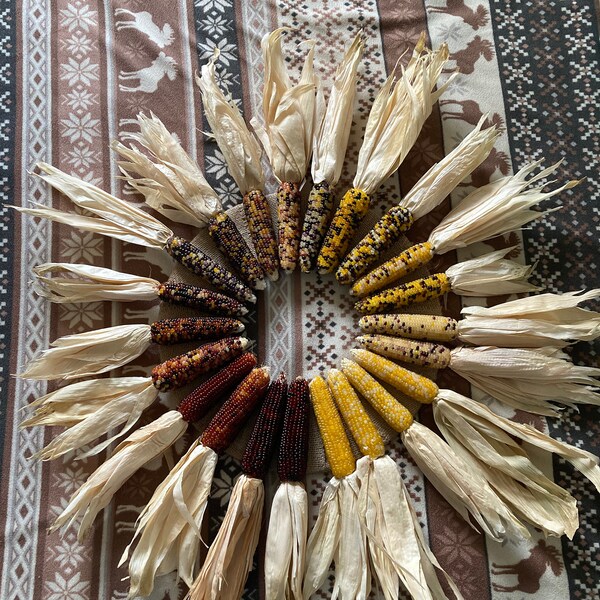 Mini Indian Corn Wreath KIT: Make Your Own! Choose From a 14", 12" or ...