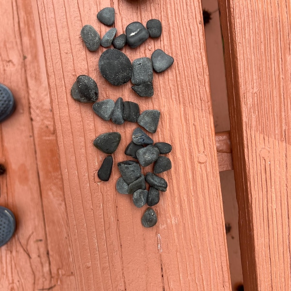 Rare Black Sea Glass (pirate Glass) – St. Croix Caribbean Beach Glass ...