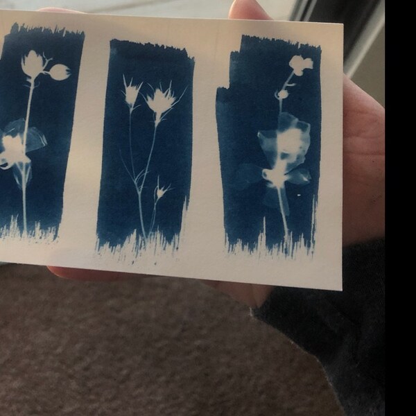 Grassy Triptych Cyanotype Print, 3.25 X 5 Inches - Etsy