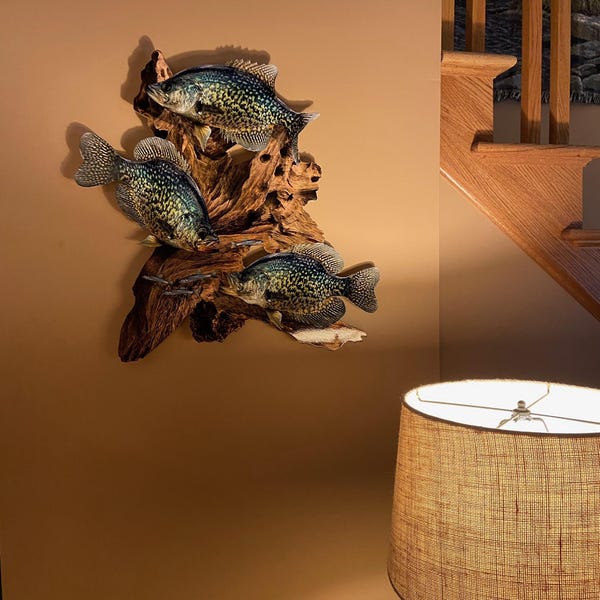 Brook Trout Replica Duo Wall Art -19 Inch Realistic 2D (flat) Metal ...