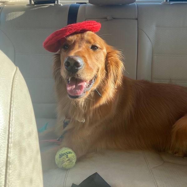 Beret Hat Red Color for Large Dog Hat for Large Pet /halloween Dog ...