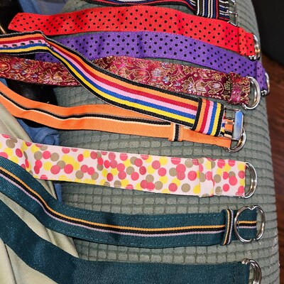 Charlie Brown Saint Patricks Day Magnet and Paper Clips - Etsy