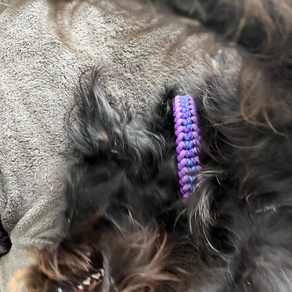 Wide Sanctified Paracord Dog Collar, Strong and Thick Collar, Custom ...