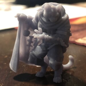 Tanuki Lady by Epic Miniatures | Etsy