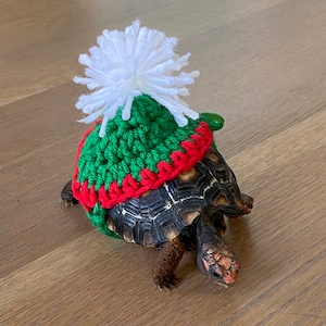 Tortoise Sweaters Pet Costume Turtle Sweater Cute Animals - Etsy