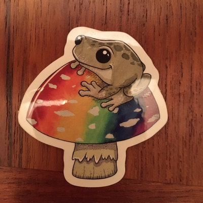 Frog Sticker Rainbow Sticker waterproof Sticker UV - Etsy