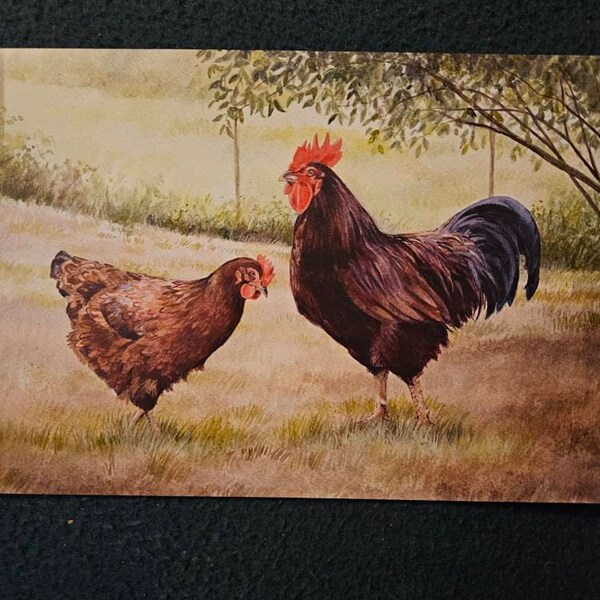 Horse Racing Print "frankel" Signed Limited Edition - Etsy