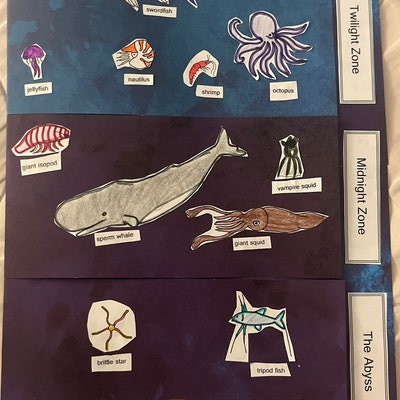 5 Zones of the Ocean Project - Etsy