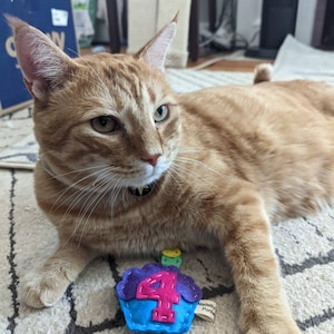 Bomb Pop Cat Toy Organic Catnip Wool-blend Felt - Etsy