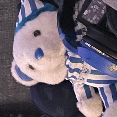 2004 mucha Lucha Wrestling Dog Soft Toy, by Quiron Famosa, Unusual Hard ...