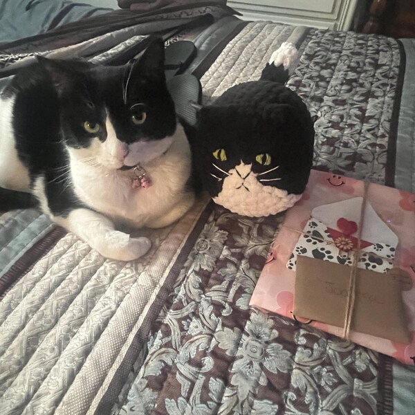 Silkie Chicken, Crochet Hatching Chicken, Baby Chicken in Shell, Easter ...